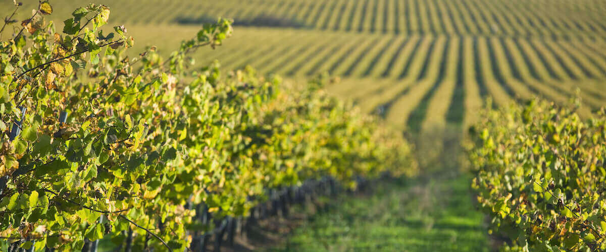 ¿Cómo subdividir un terreno legalmente?